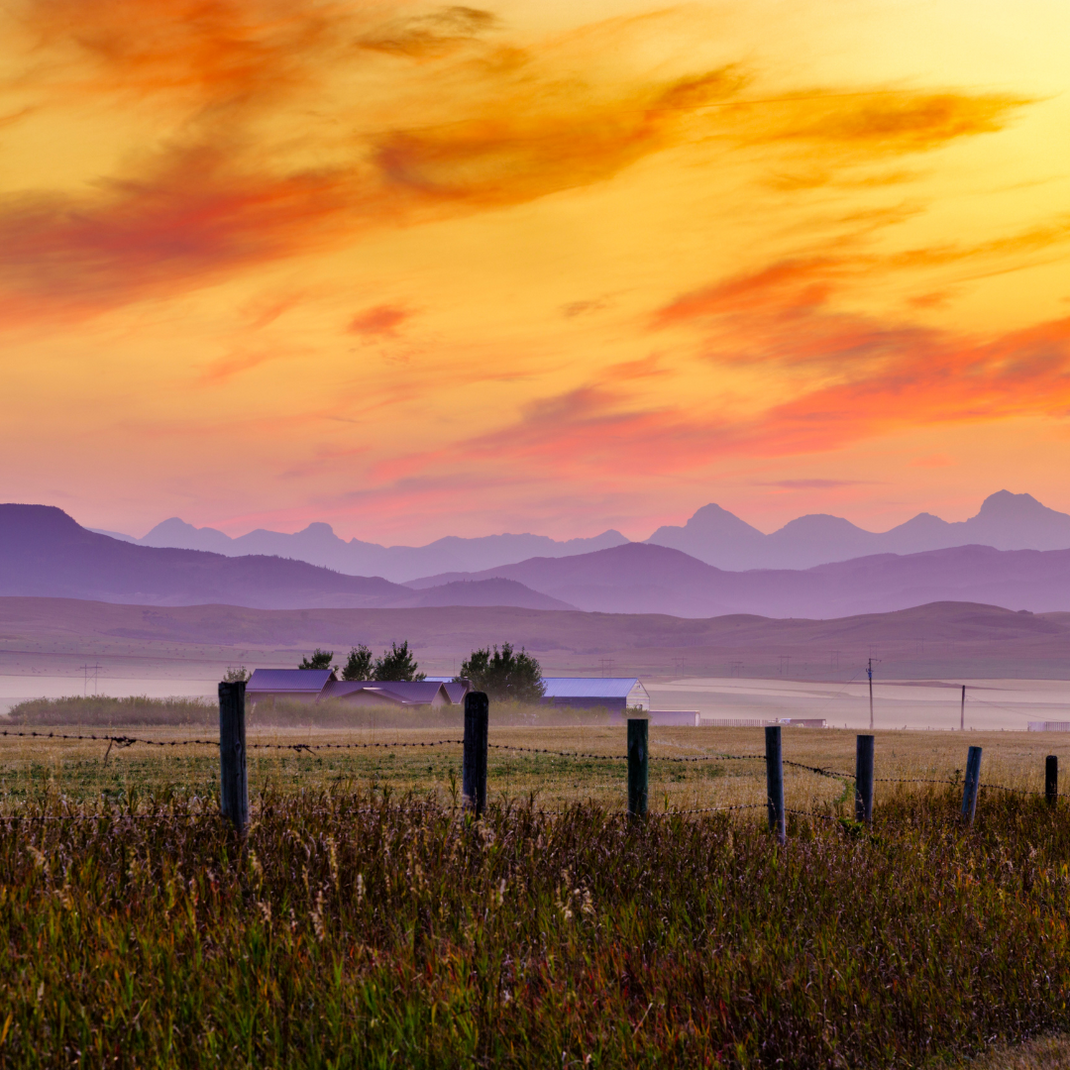 Hutterite Meat Grande Prairie | Homeland Meats